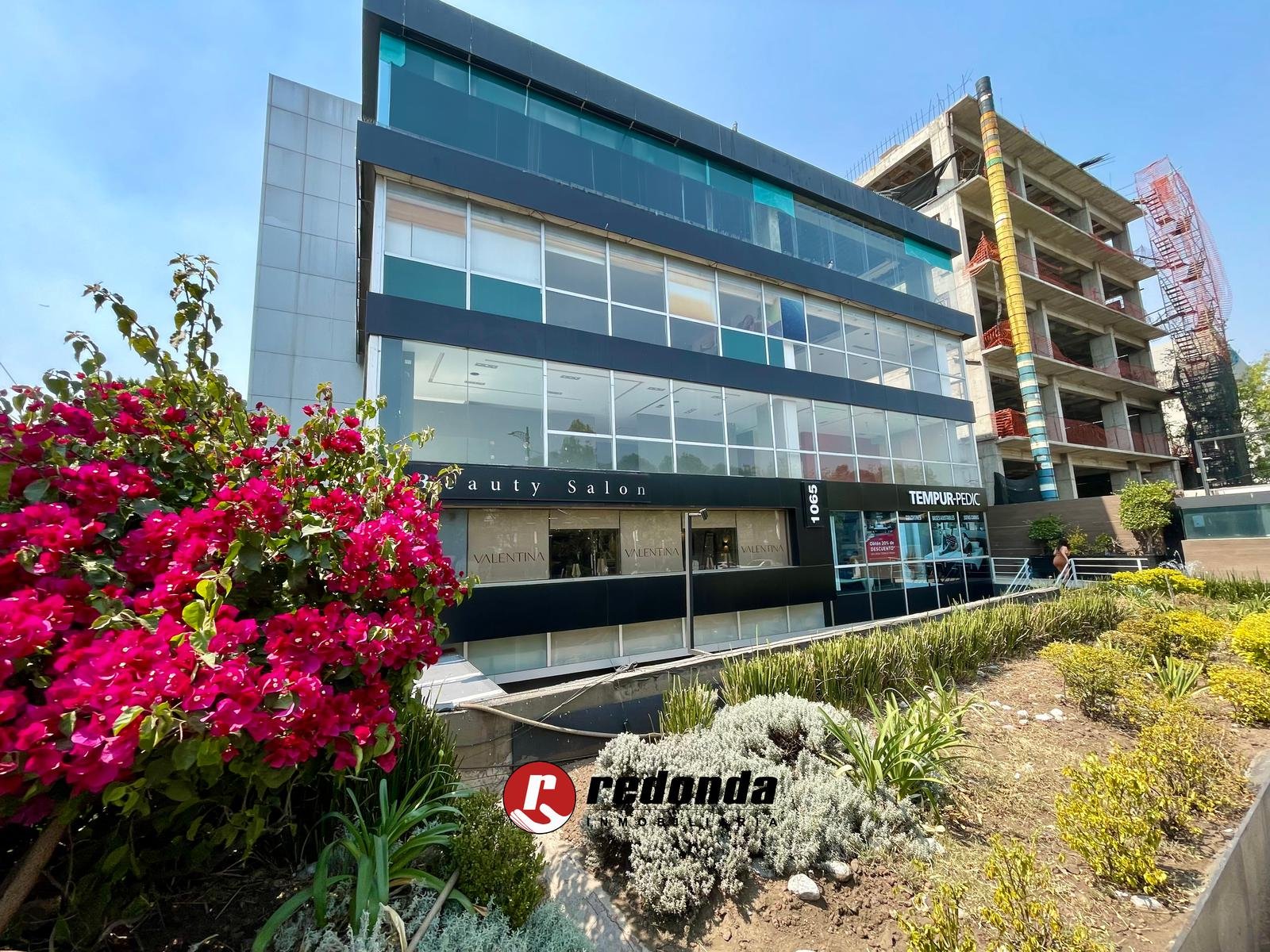 Lomas de Chapultepec | Redonda Inmobiliaria
